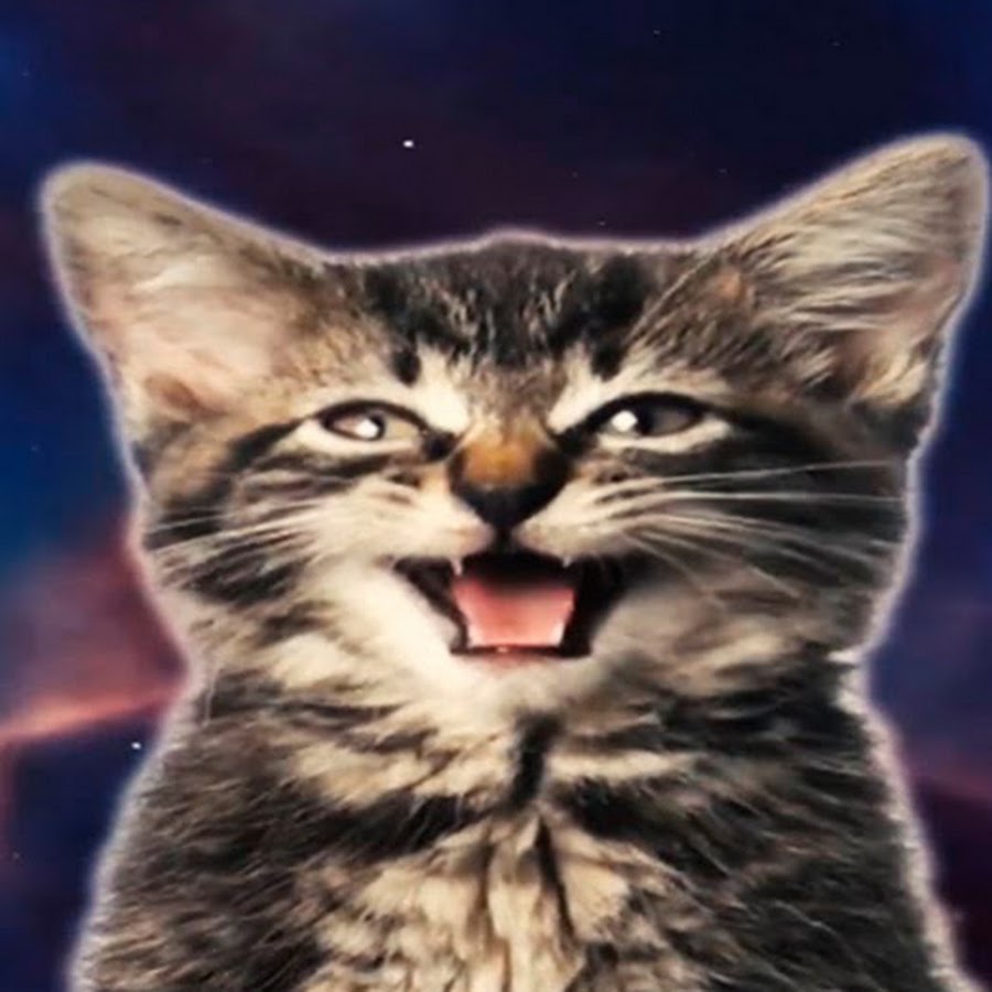 AKedOLSKwcvceA2jJf-58thVFUiCOjzzgMr-Z_bDnJxVjA=s900-c-k-c0x00ffffff-no-rj