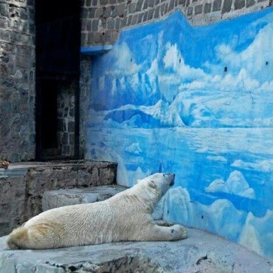 AKedOLSLYZPJduCPiCpwhUdleOjR0J3ZL99-Fm8X196a=s900-c-k-c0x00ffffff-no-rj