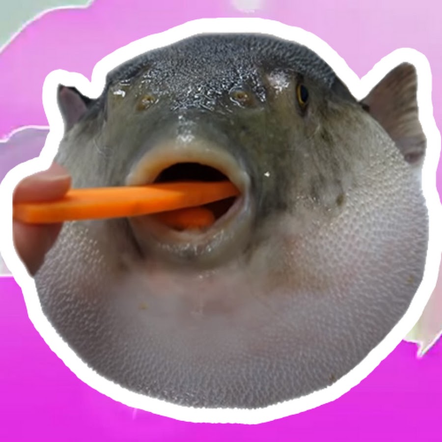 AKedOLSY1xR6Yj-Om0Wa5c8ziTrHzQubE2q4F4bmkCo-=s900-c-k-c0x00ffffff-no-rj