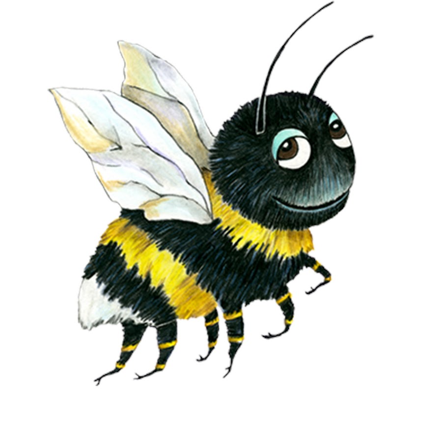 AKedOLSakaj105ZDcZvnVfnJ6r-xpdNwWBj9lSAyiPFI=s900-c-k-c0x00ffffff-no-rj