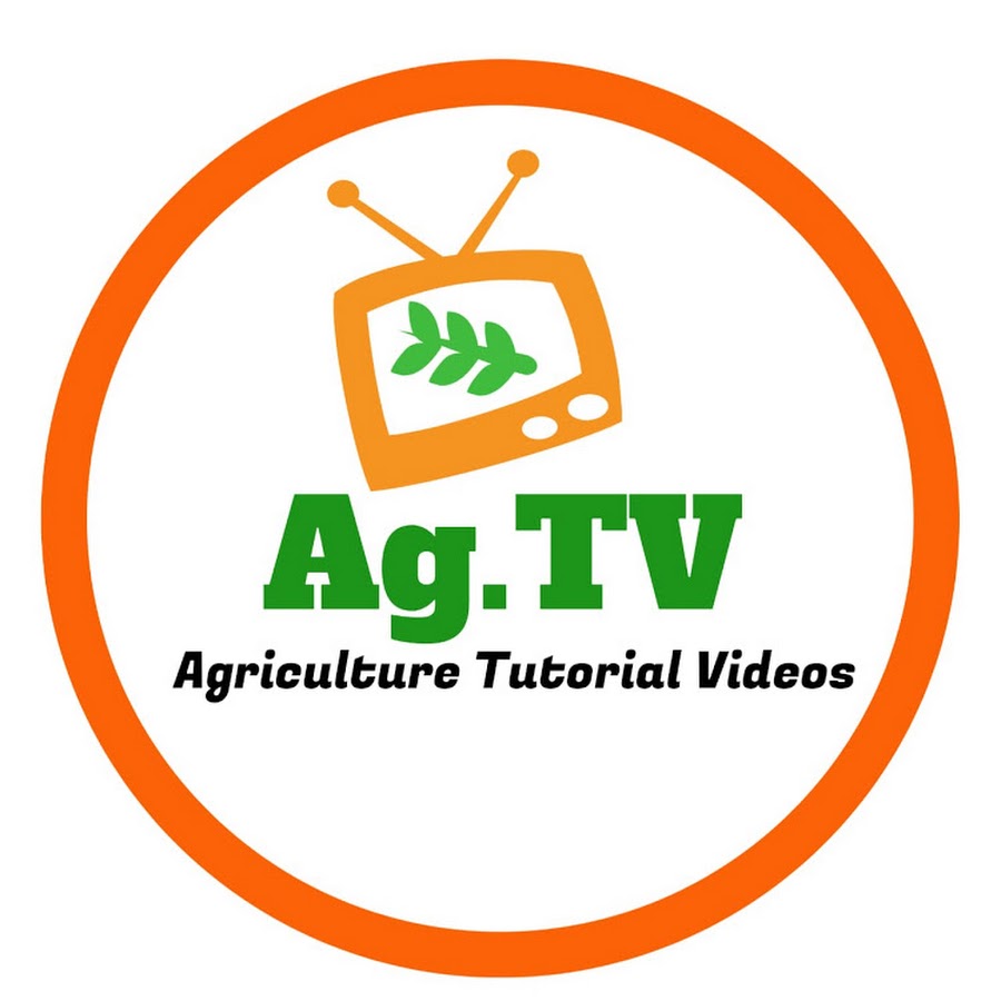 AKedOLSbIQgocUsmBto3-_NU_BrKY9utj43orloUJKU=s900-c-k-c0x00ffffff-no-rj