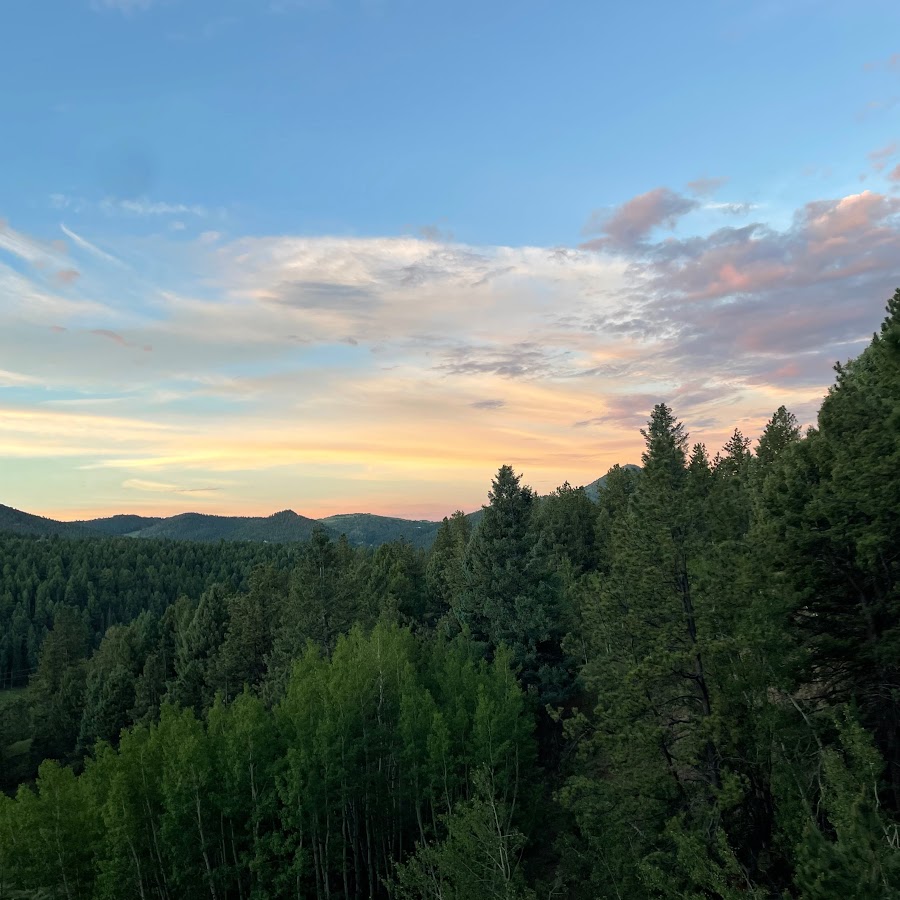 AKedOLSd2jCA7F6NwfO2jV9kRSTxe7YgTrM9ez6_zDqCUA=s900-c-k-c0x00ffffff-no-rj