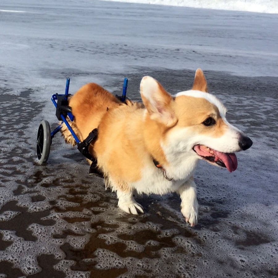 AKedOLSld55DsaDxO-B-k6aZoZNB2Ta5g9Vy48mziFeoOA=s900-c-k-c0x00ffffff-no-rj