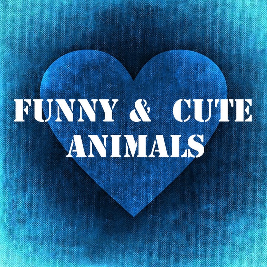 AKedOLSmkXBc4ydEA2a0u11_il0hRkSM9VfMLrkVnRoy=s900-c-k-c0x00ffffff-no-rj