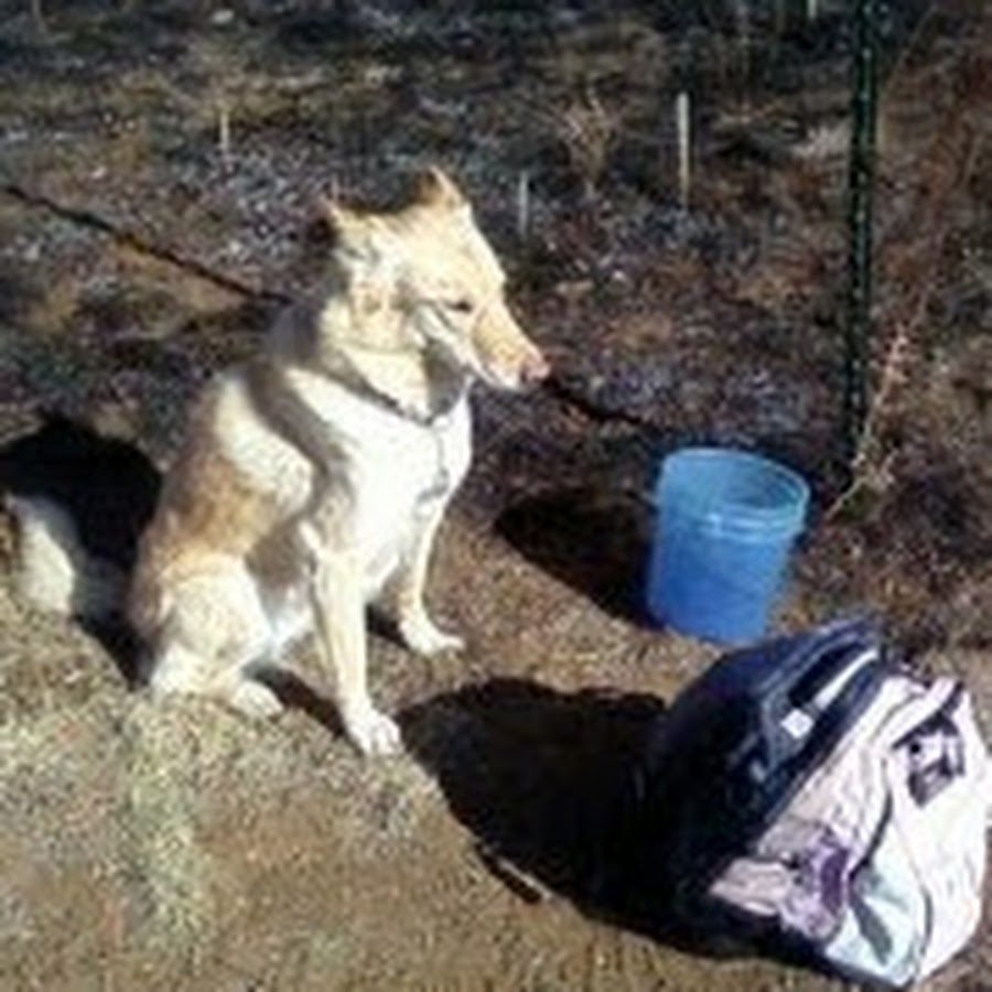 AKedOLSroUav9swsQPdWbldDX6rqtFfyWXzkIzl8FEiy8A=s900-c-k-c0x00ffffff-no-rj