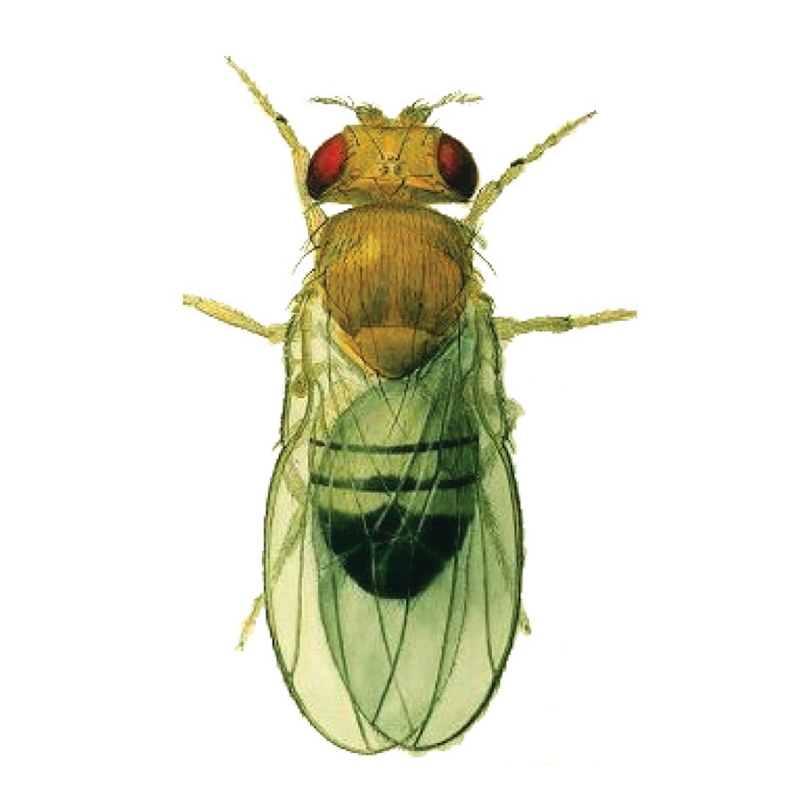 AKedOLSxGOmdL9aIMJ9KnEz5dtduWnENN0owXO1o_M_XOg=s900-c-k-c0x00ffffff-no-rj