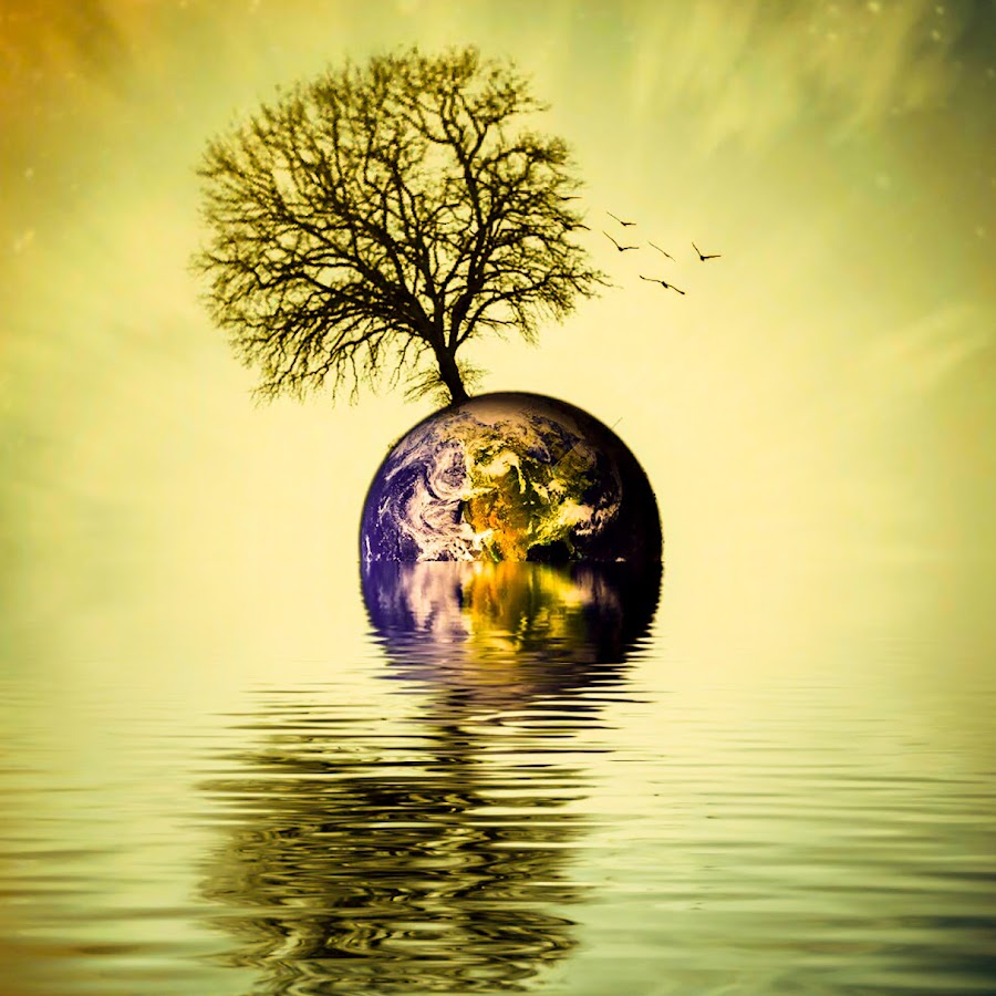 AKedOLT0MXlKcuiJtXQiP1t8prKm8QG_T5D36eox7j5ZQQ=s900-c-k-c0x00ffffff-no-rj