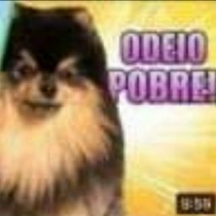 AKedOLT1cR0tX_kHtafWcSe9mpqerhRcv-KEGrXxWFL2=s900-c-k-c0x00ffffff-no-rj