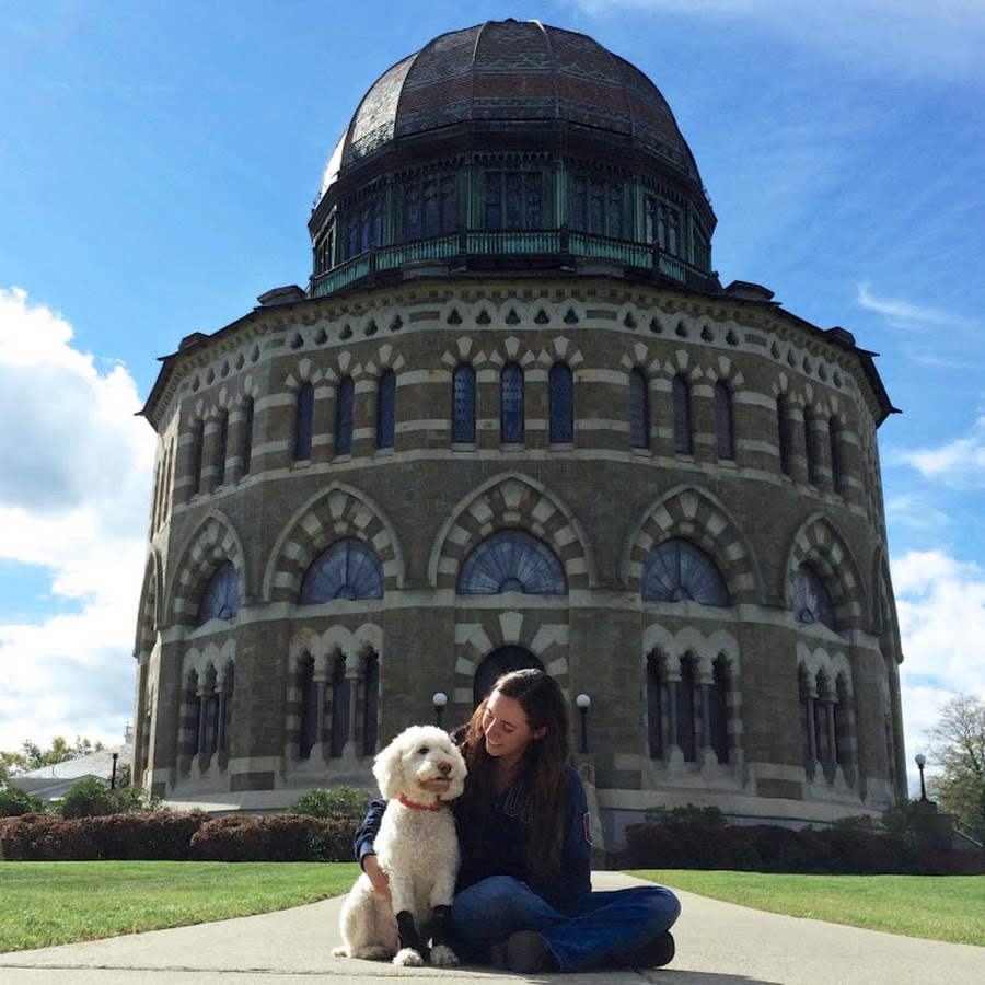 AKedOLT5RcOpn3pJ6KVLZlvh63kg8leaa1PWlvYem-Z20A=s900-c-k-c0x00ffffff-no-rj