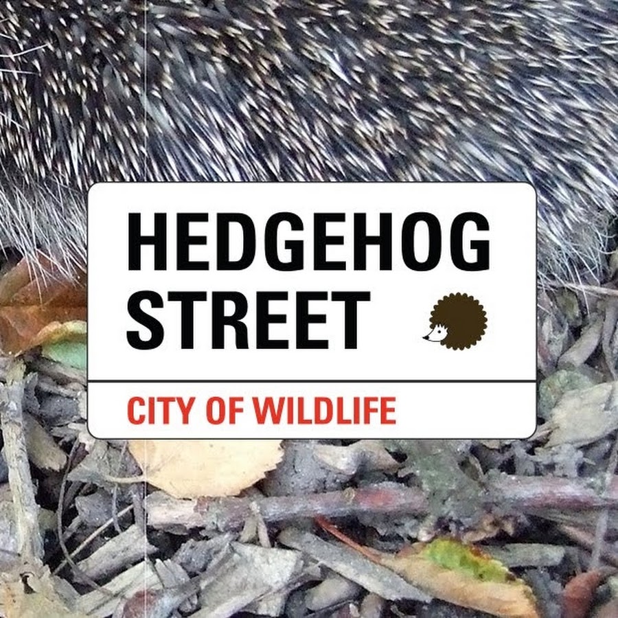 AKedOLTBUnhfebL_jYqK9q6pF5iHkWnXU8A4x4QA7OsJ=s900-c-k-c0x00ffffff-no-rj