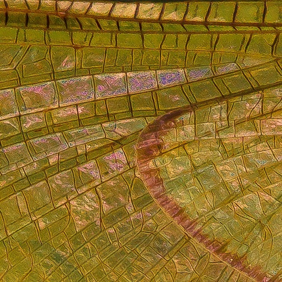 AKedOLTISeDhPJ1dTlE5SKdGvBwWmSFtWA711QDEC9mLyQ=s900-c-k-c0x00ffffff-no-rj