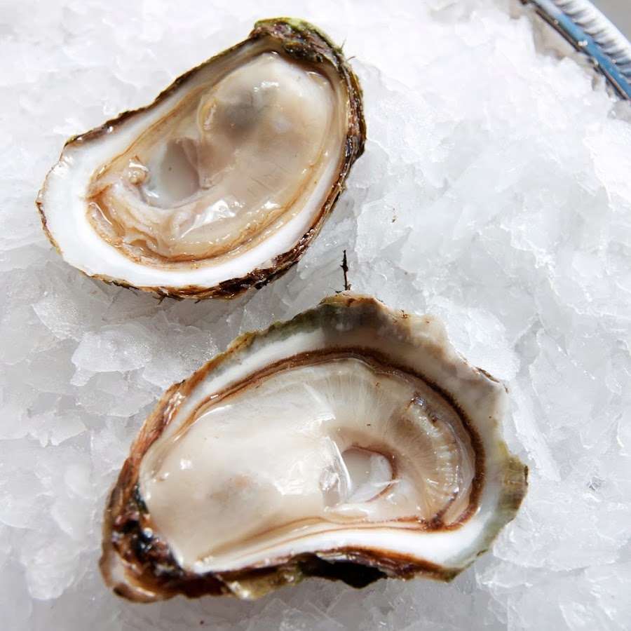 AKedOLTJkjh3PCXEiRjf5xCrybBOybw25JlkRdKKB7kj=s900-c-k-c0x00ffffff-no-rj