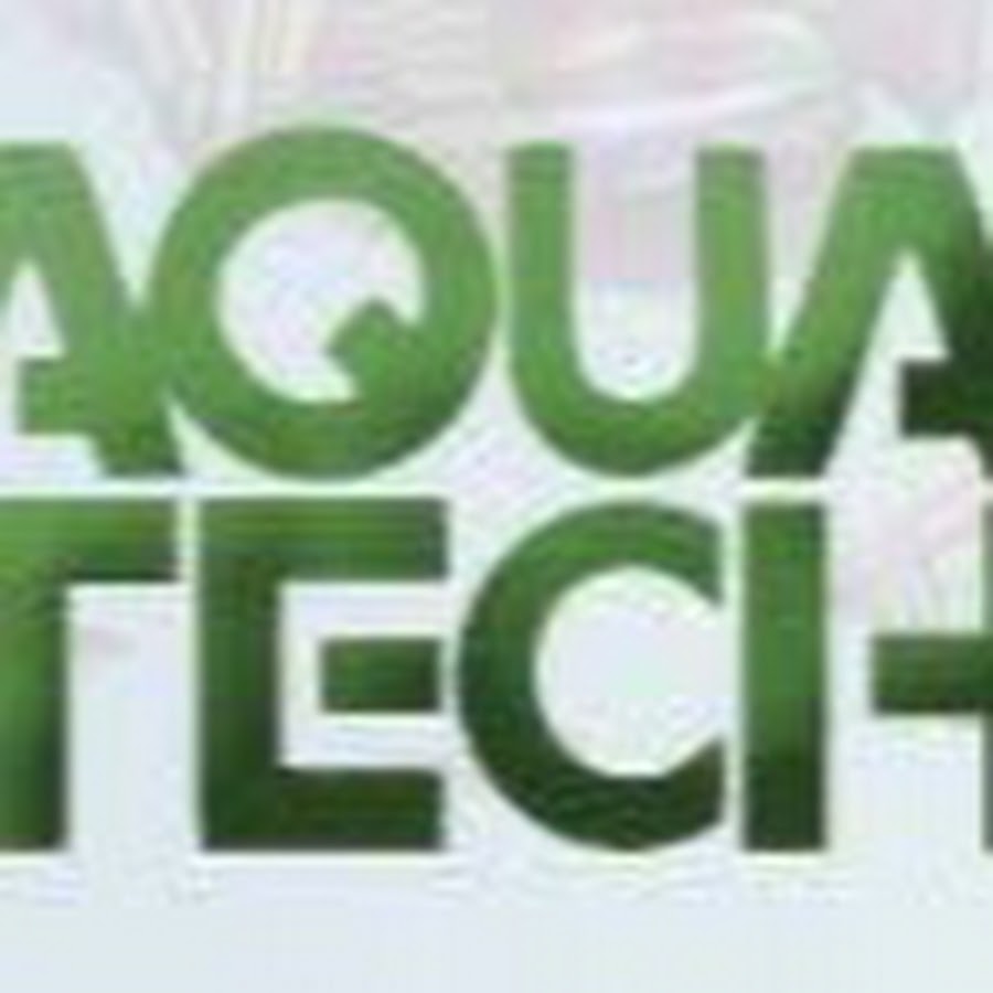 AKedOLTQFXu0i4W2uoch7fTM27phOf-B3fUxepY-iiWFhg=s900-c-k-c0x00ffffff-no-rj