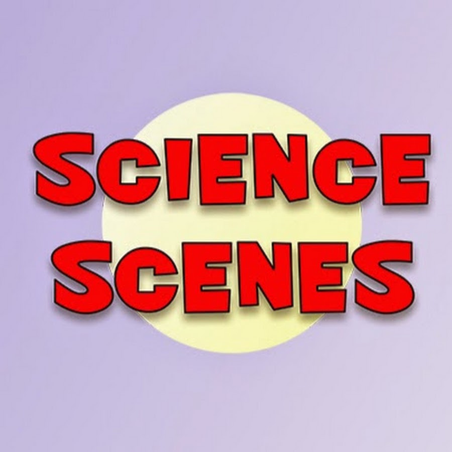 AKedOLTYhRXhrnOxQLYHSc9nfQFMYmyx0gkuaA1ERZug=s900-c-k-c0x00ffffff-no-rj