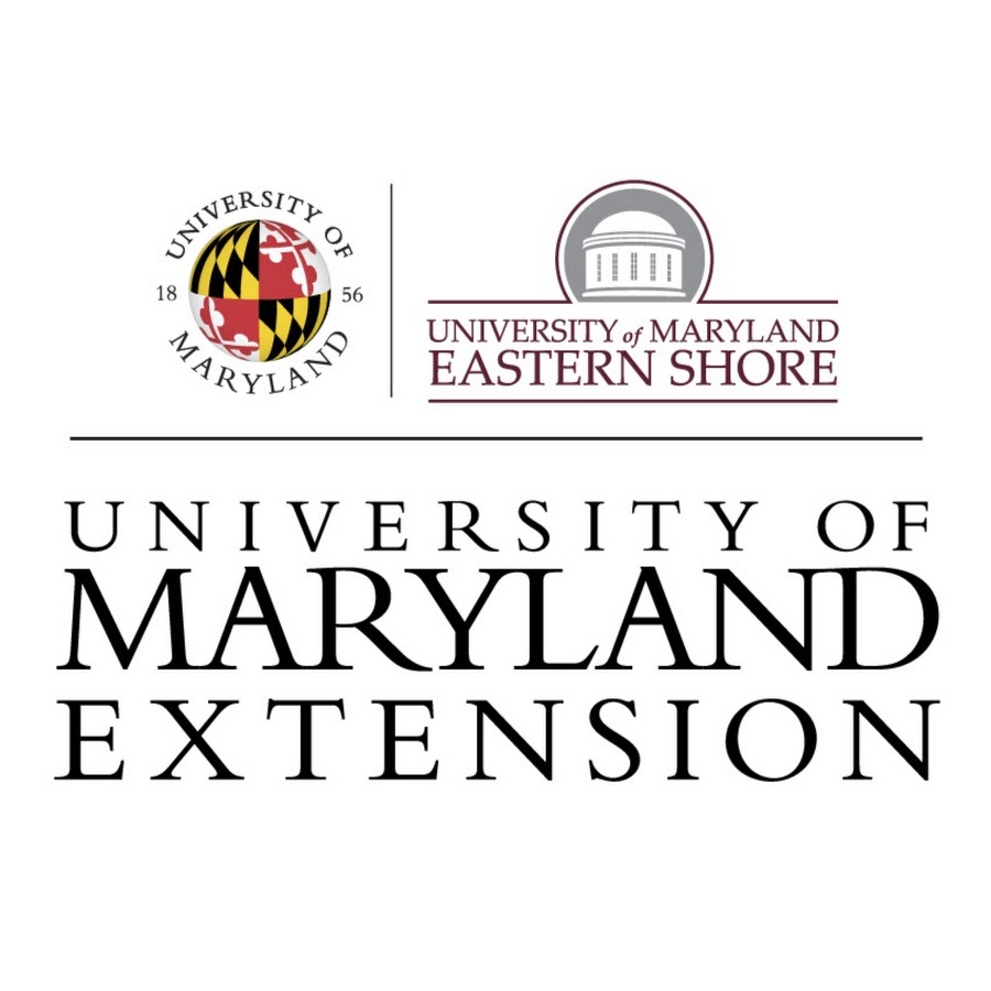 AKedOLT_LLvEv_ocwR-Whh82cRDM6q2jwjLO47Dre53o=s900-c-k-c0x00ffffff-no-rj