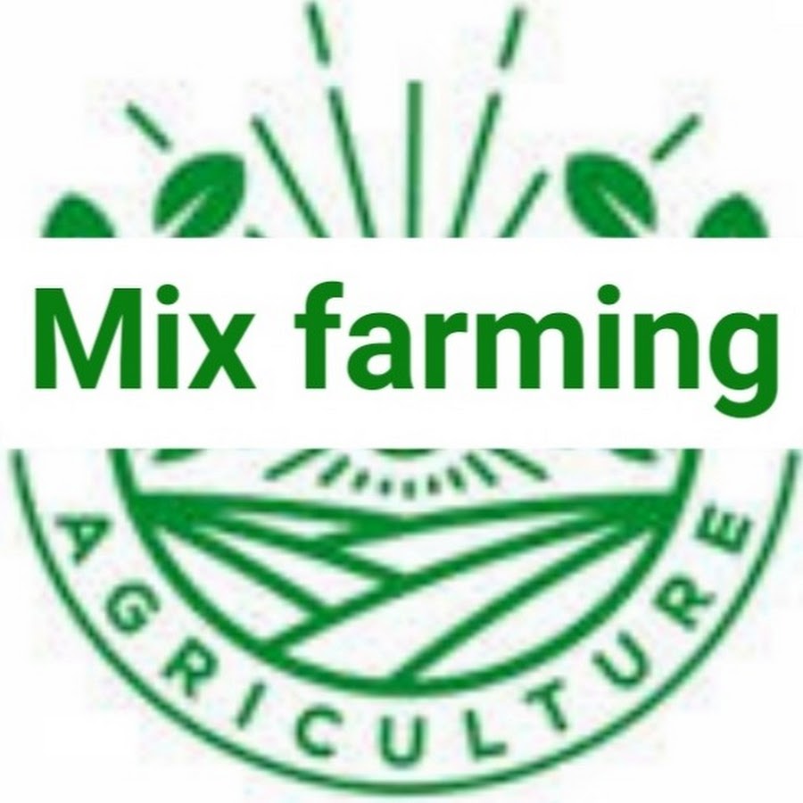 AKedOLTaCFIS6EjnR_C0NXnEfXAuQUcpZ9UADeLIIPX-Ww=s900-c-k-c0x00ffffff-no-rj