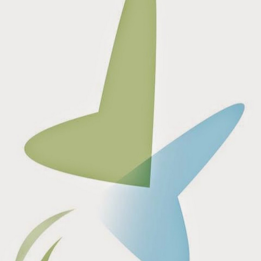 AKedOLTpe_XosNCd8LDT667A5CEnYQDYeXmGgMGuiyJZ=s900-c-k-c0x00ffffff-no-rj