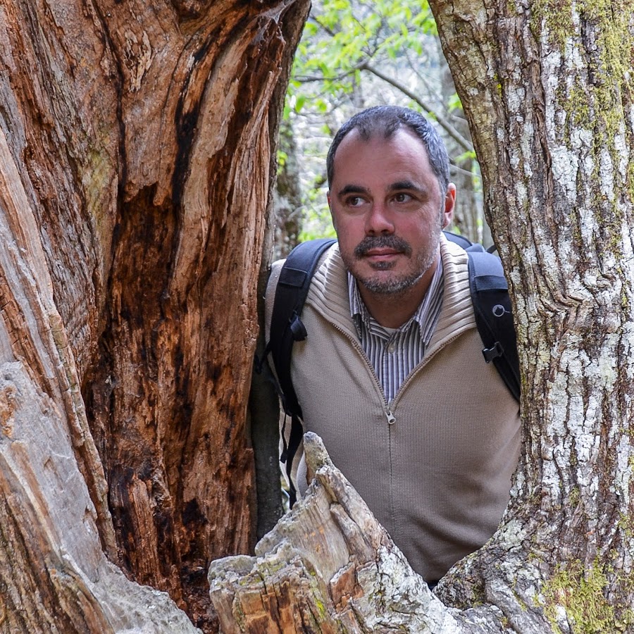 AKedOLTuueJ_U6J4Eg_jN2TJ15YqxvNdlpppb7gVKcedWQ=s900-c-k-c0x00ffffff-no-rj