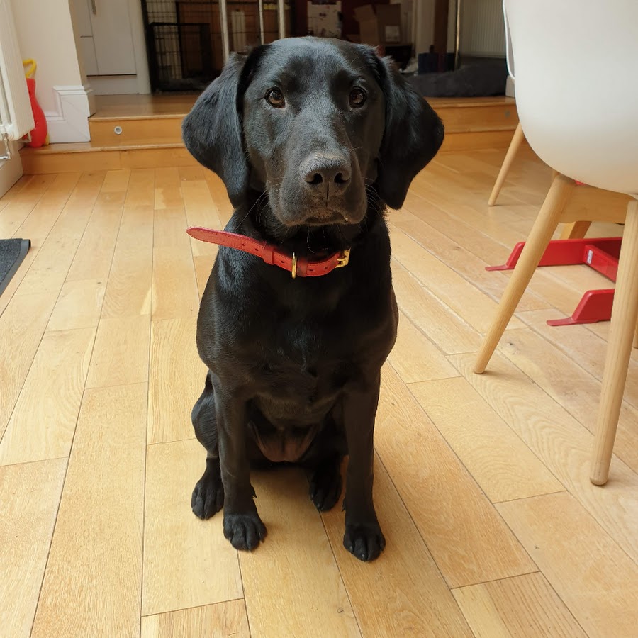 AKedOLTxRL_rTg787MBCsNMDJbY7oeRePEdqbWIs-VtO=s900-c-k-c0x00ffffff-no-rj