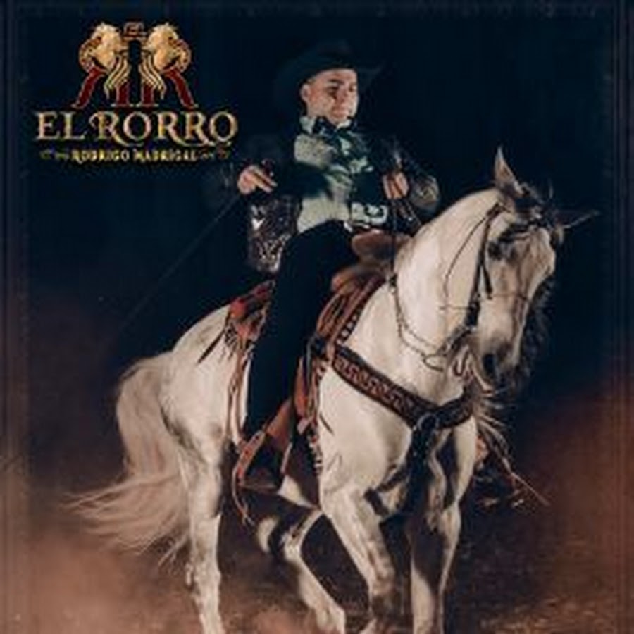 AKedOLTzg-7c-MV0IgWd7o0TIfuU1EhF4Q_g5aNhVB4ujVM=s900-c-k-c0x00ffffff-no-rj