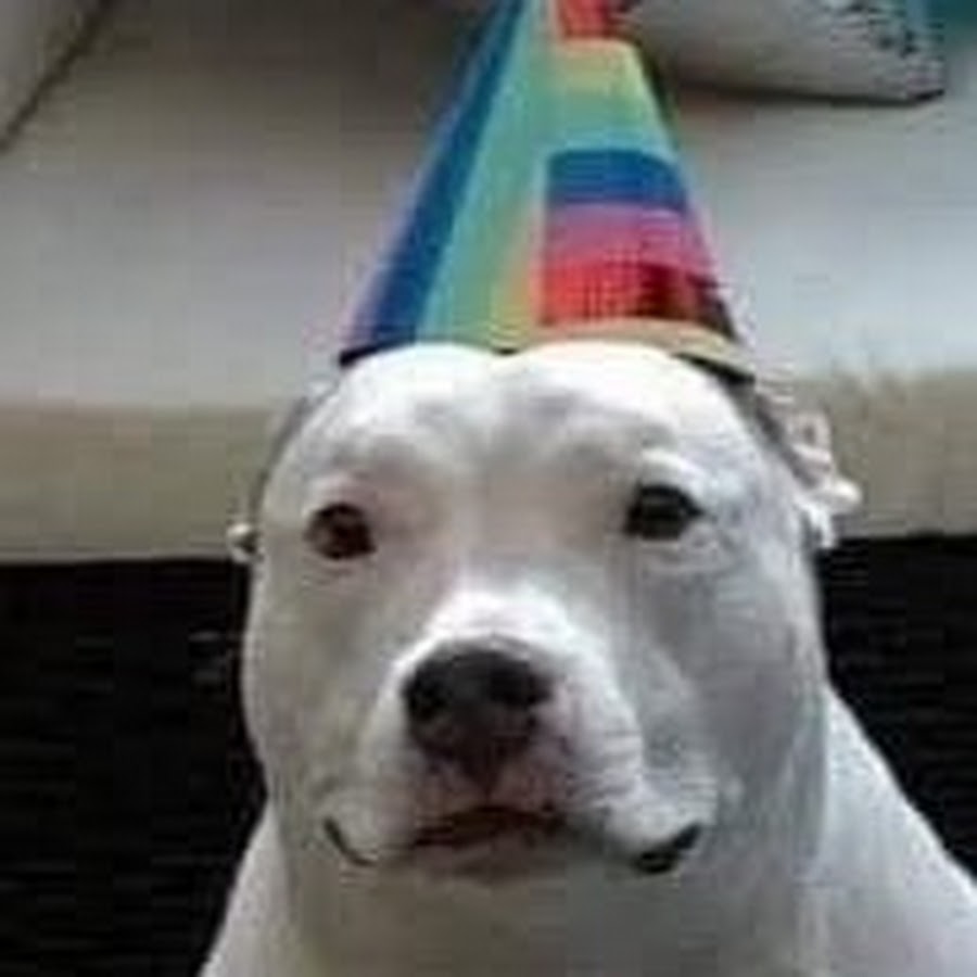 AMLnZu-92QBVO4WkPfuIAg1O8cwi5jin-rAW4pJQ3UzPzz8=s900-c-k-c0x00ffffff-no-rj