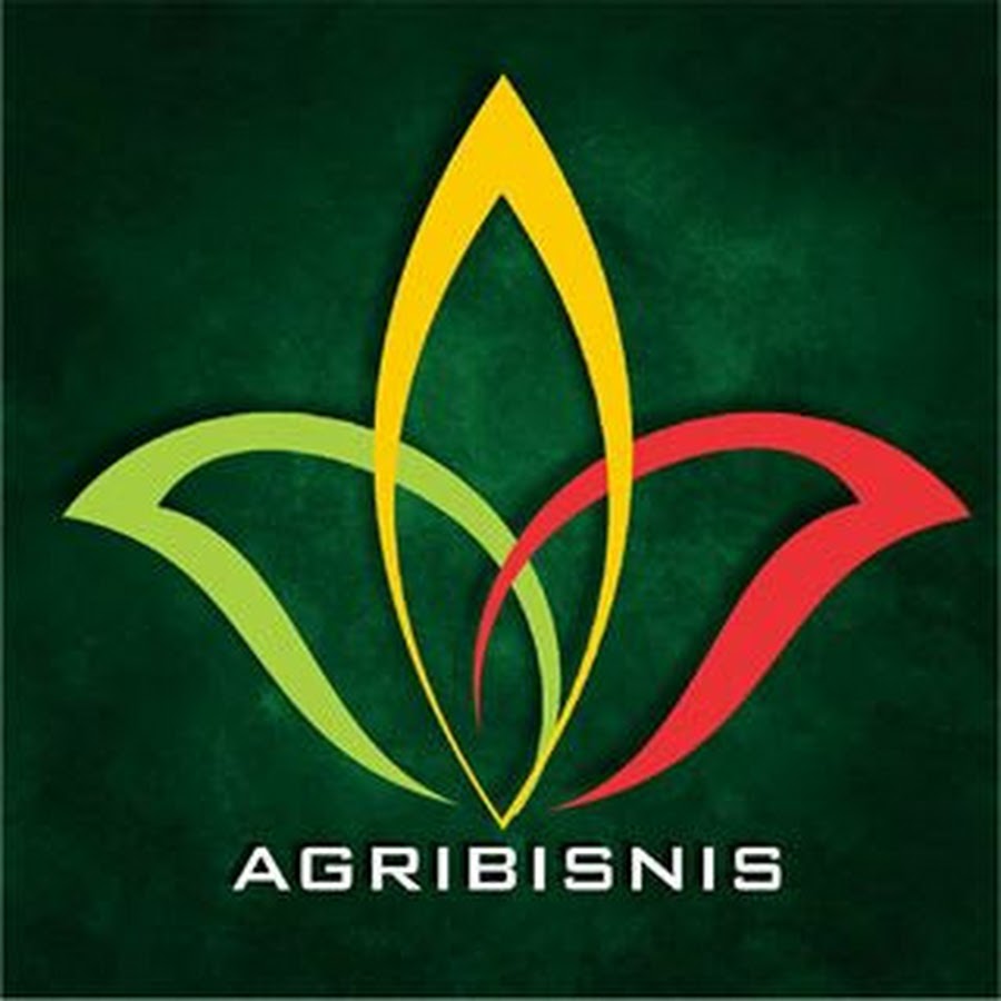 AMLnZu-9F-moYyZXQ39OtsHFDvHk4iRJqPr__haExqZq=s900-c-k-c0x00ffffff-no-rj