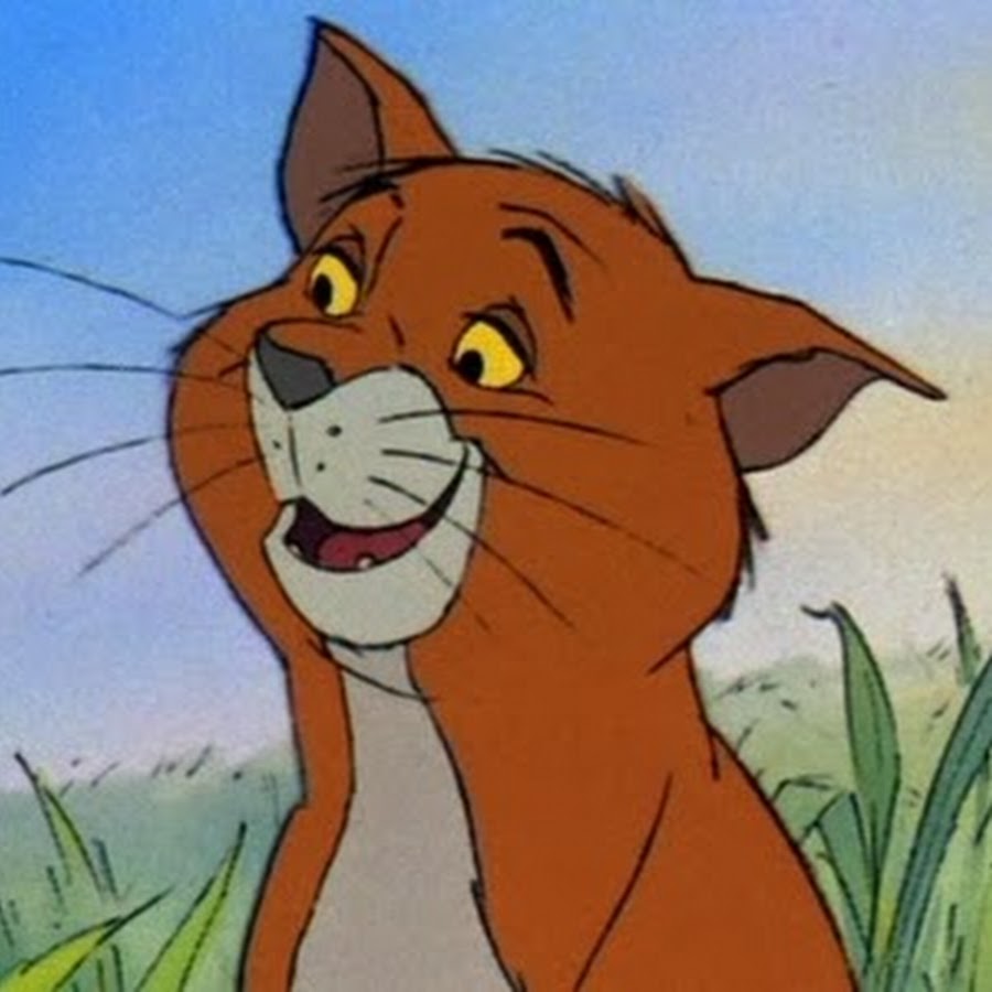 AMLnZu-A-lET6upAg0bzpbnZJrJGLLpSU8WPhyu1IWTQ=s900-c-k-c0x00ffffff-no-rj