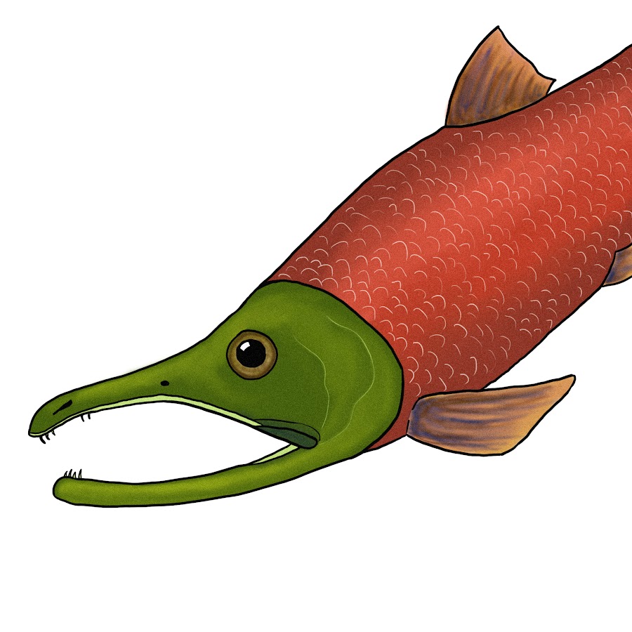 AMLnZu-AP0BrzeJpnTz3hVRGIW5CBS1kYwYRtmapez7h=s900-c-k-c0x00ffffff-no-rj
