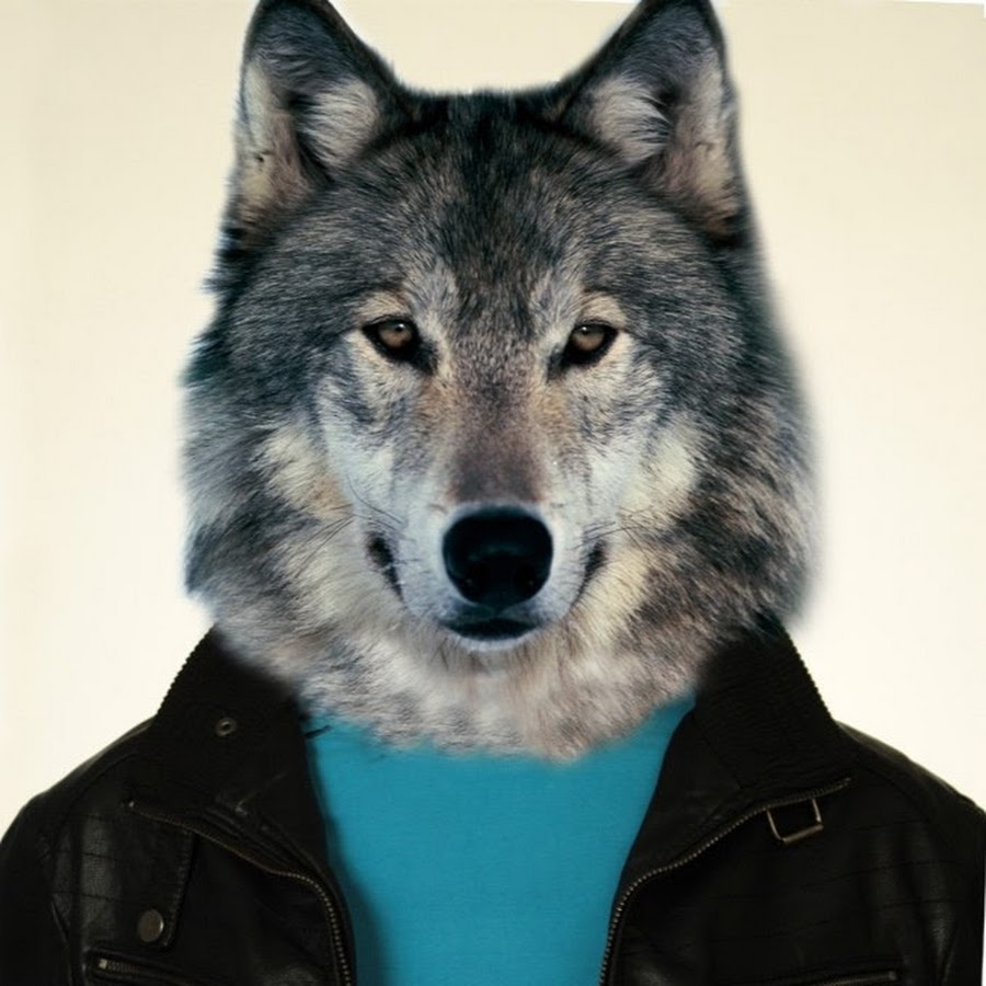 AMLnZu-BGy839062E0Q3B6ugCJUxYzIl752EBmdGL5LJ=s900-c-k-c0x00ffffff-no-rj