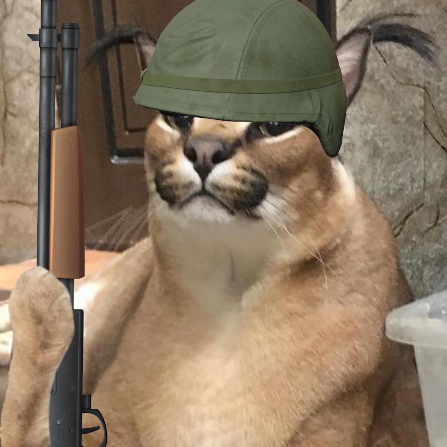 AMLnZu-E4Y0ejES_0Gx8gMM5fmS76_I1TrYj-__tF7Vs=s900-c-k-c0x00ffffff-no-rj