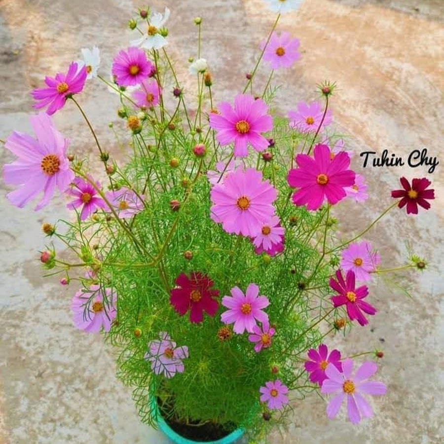 AMLnZu-EKBhGovXT2JPGJto81ULwlyRLhxYq_A8wlg=s900-c-k-c0x00ffffff-no-rj