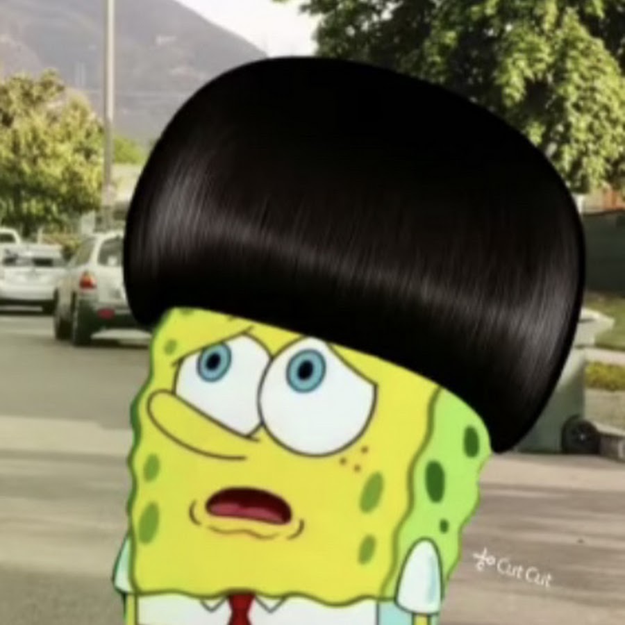 AMLnZu-IRa0aY3ig6gB2NEQ-ntBR9gL1-56ljqGcnntp=s900-c-k-c0x00ffffff-no-rj