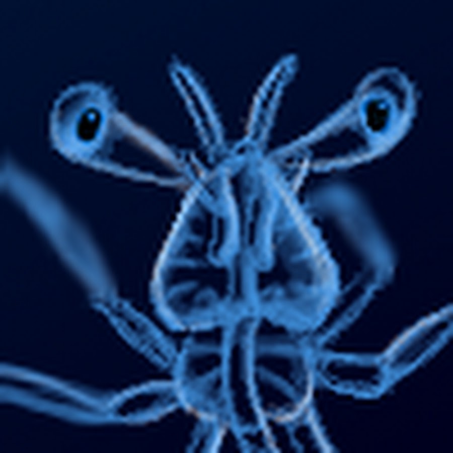 AMLnZu-OjLRCUFSXr5PpcTBHw81Fm19vVLIOJqp-BNpT=s900-c-k-c0x00ffffff-no-rj