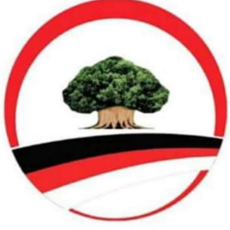 AMLnZu-RCcp7-gfxasCvmbtc9fGsc3Ra3GN4o5K92sgl=s900-c-k-c0x00ffffff-no-rj