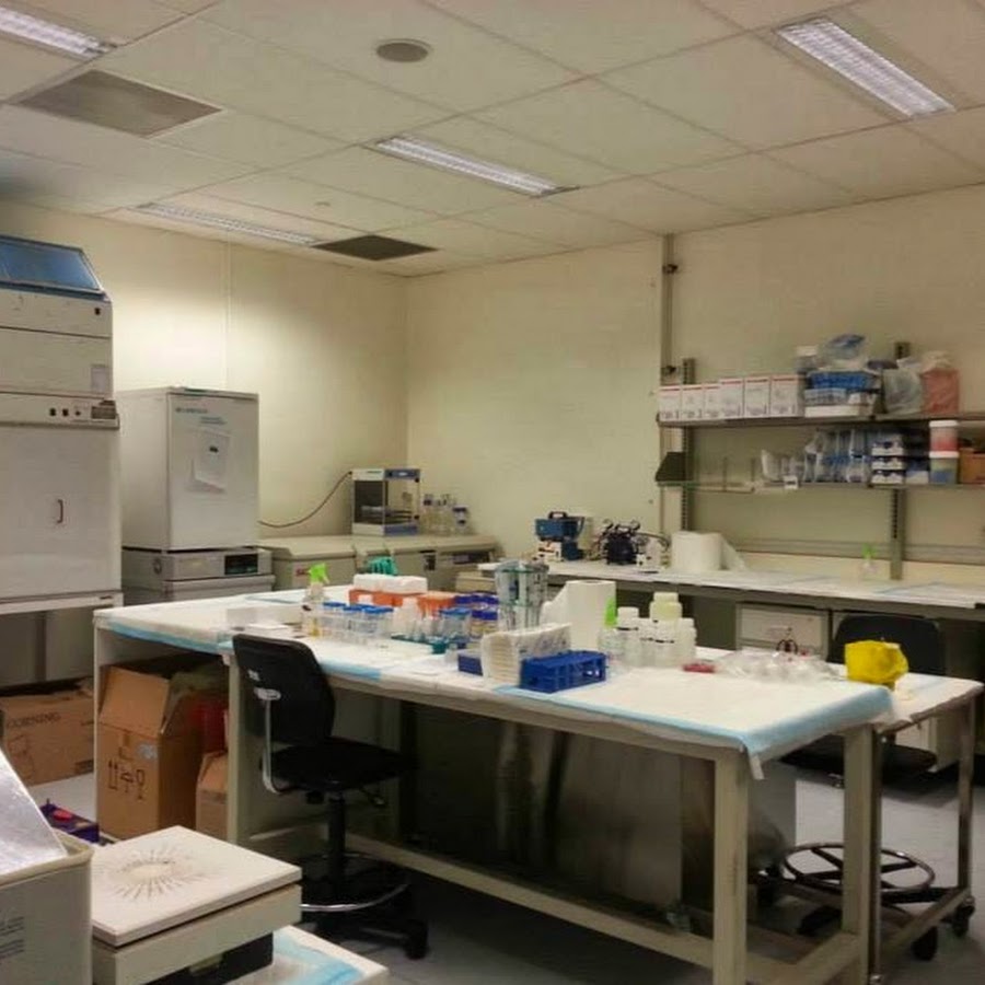 AMLnZu-T5_MkHJ2T9mPFE5cVar5wjE2S2S0oMzyHgSpp=s900-c-k-c0x00ffffff-no-rj