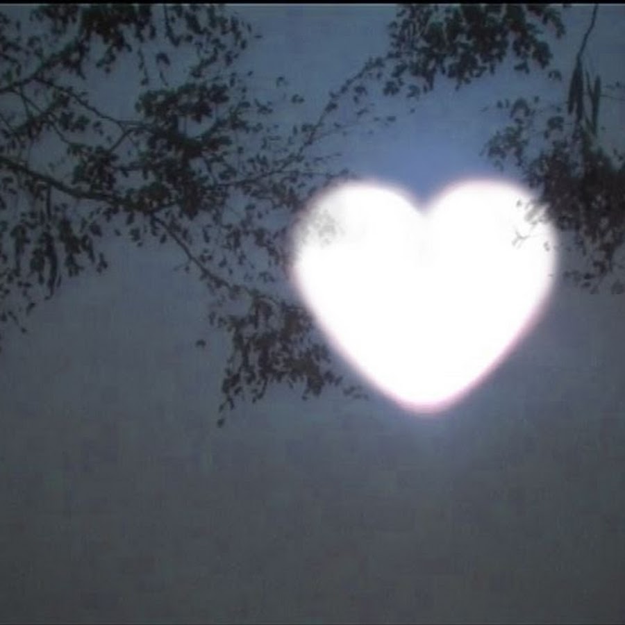 AMLnZu-TKZ73vnor_RW3I68UzX8m6lXPmA6NKERYon0Y=s900-c-k-c0x00ffffff-no-rj