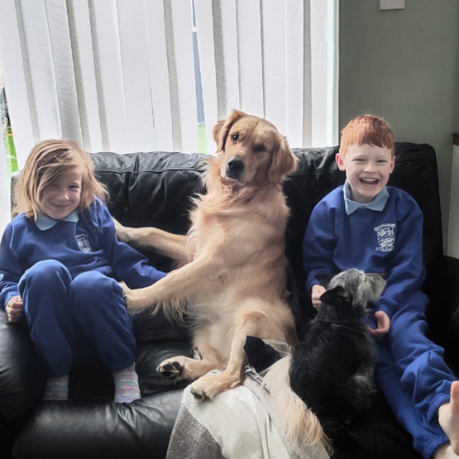 AMLnZu-VG_i-E7qDSujuuD-2SfJm4xKTyqAj1Hsd4SL7oQ=s900-c-k-c0x00ffffff-no-rj