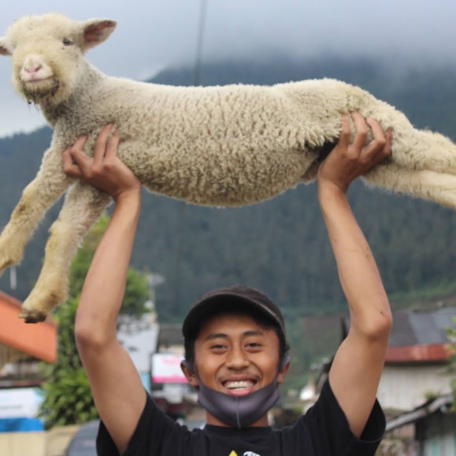 AMLnZu-Vqyeu0oOrJC0qGPMpxwE5DjD0EXX_UsX2aEJ86Q=s900-c-k-c0x00ffffff-no-rj