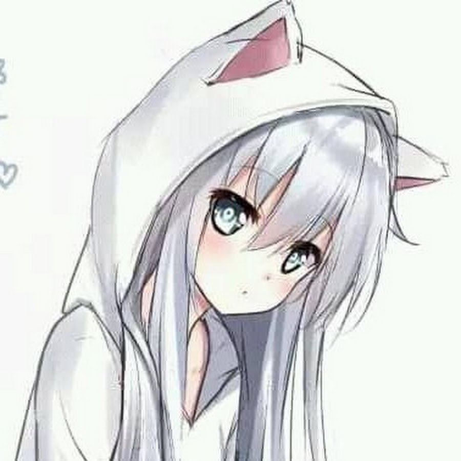 Nekonime Tv - Perumperindo.co.id