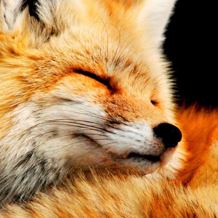 AMLnZu-WNQGgZgDkh7dgpMuVyeFZ9FT6SHDQ_GFbwnFy=s900-c-k-c0x00ffffff-no-rj