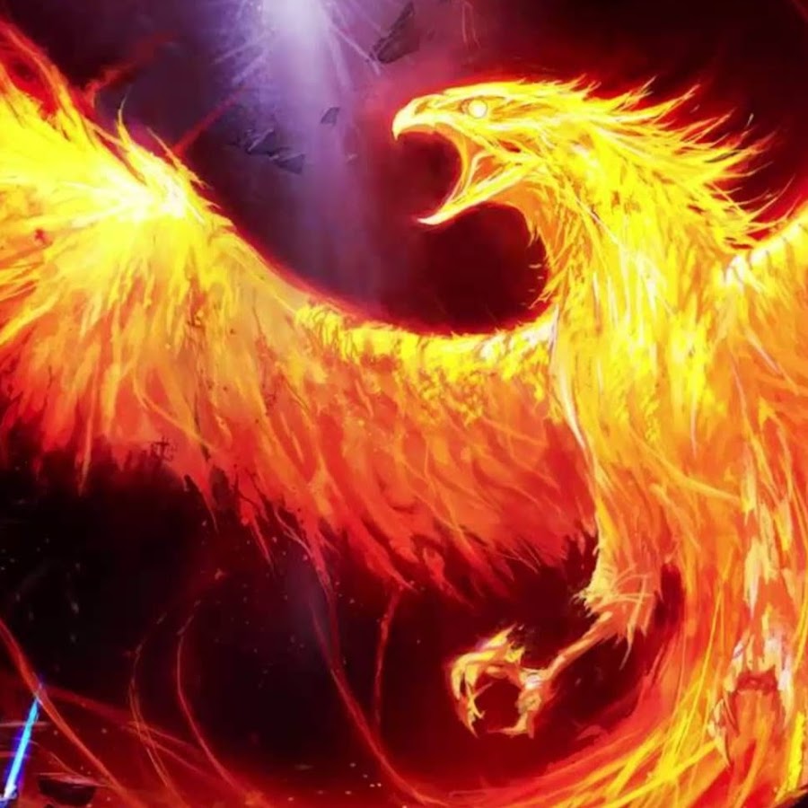 AMLnZu-XR7lI4WQLtHavxE-gKjbDRUapzP0tAuA_wsc=s900-c-k-c0x00ffffff-no-rj