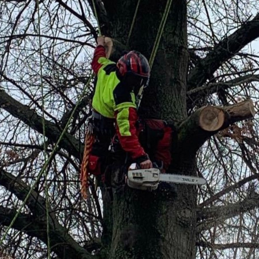 AMLnZu-_nfvLDf_NP2nZcYZQJF-W_5WDViTBX_tBFSa4=s900-c-k-c0x00ffffff-no-rj