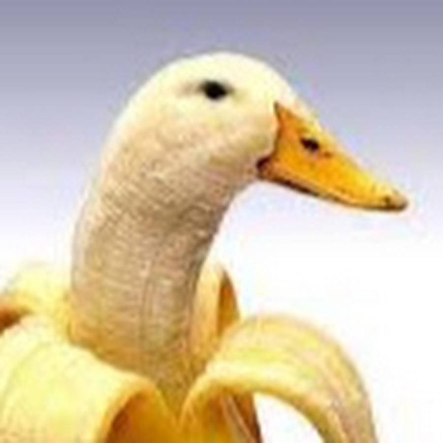 AMLnZu-aoJ5ltwOL4wG6eZs5iCTvIWym6OSl6o1YrQSm-Q=s900-c-k-c0x00ffffff-no-rj