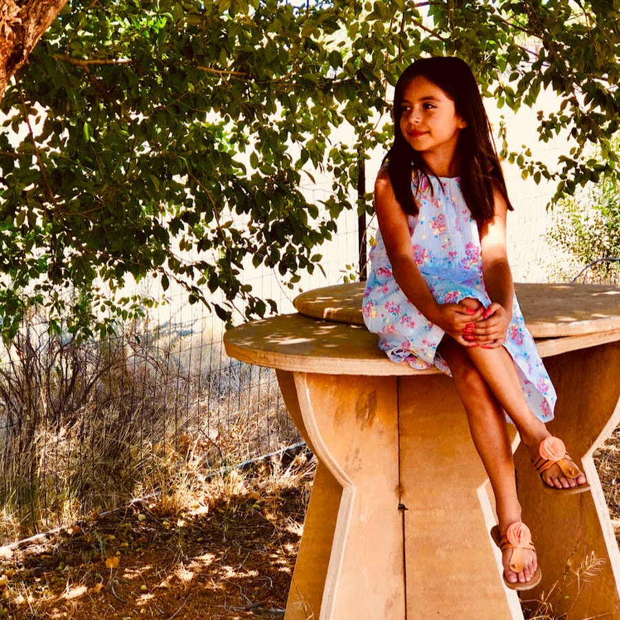 AMLnZu-dHBB933vqjWvH7x5pZK668eJ95OKp7FaLV4g5=s900-c-k-c0x00ffffff-no-rj