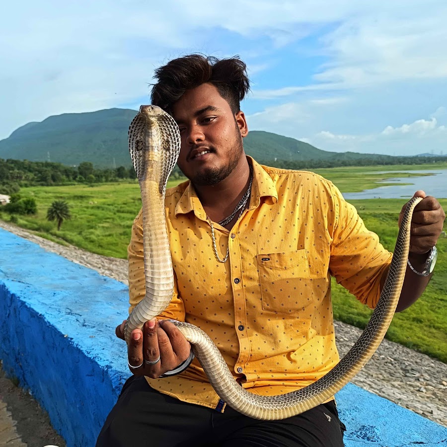 AMLnZu-fYLa1Vby76QAoR6HtmNvsGqvm8C1aLQ_fuKFtgg=s900-c-k-c0x00ffffff-no-rj