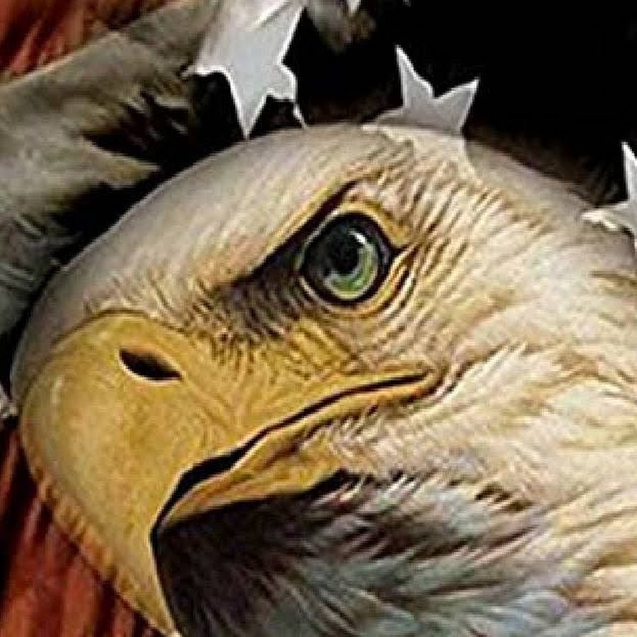 AMLnZu-kewL5CSIQLzLXnXjb816gK7h88xM4U21xDiUNRw=s900-c-k-c0x00ffffff-no-rj