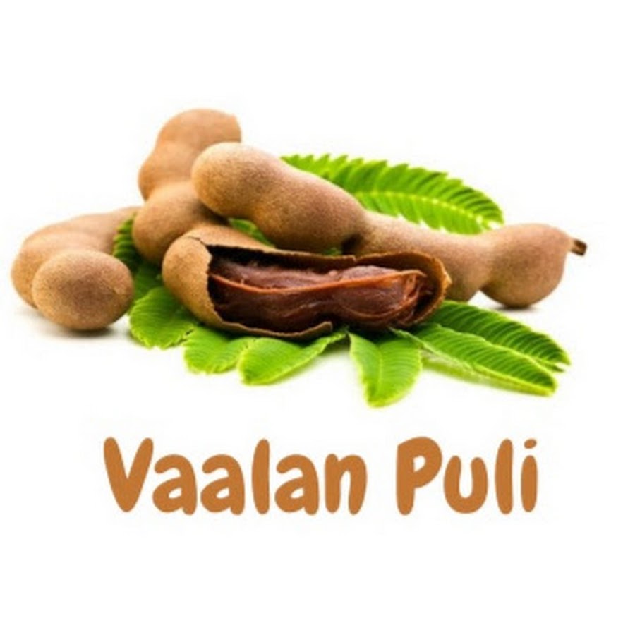 AMLnZu-n_OVOWjAYBa34XUHRxovwORMi_dHmgIDCLEFJ=s900-c-k-c0x00ffffff-no-rj