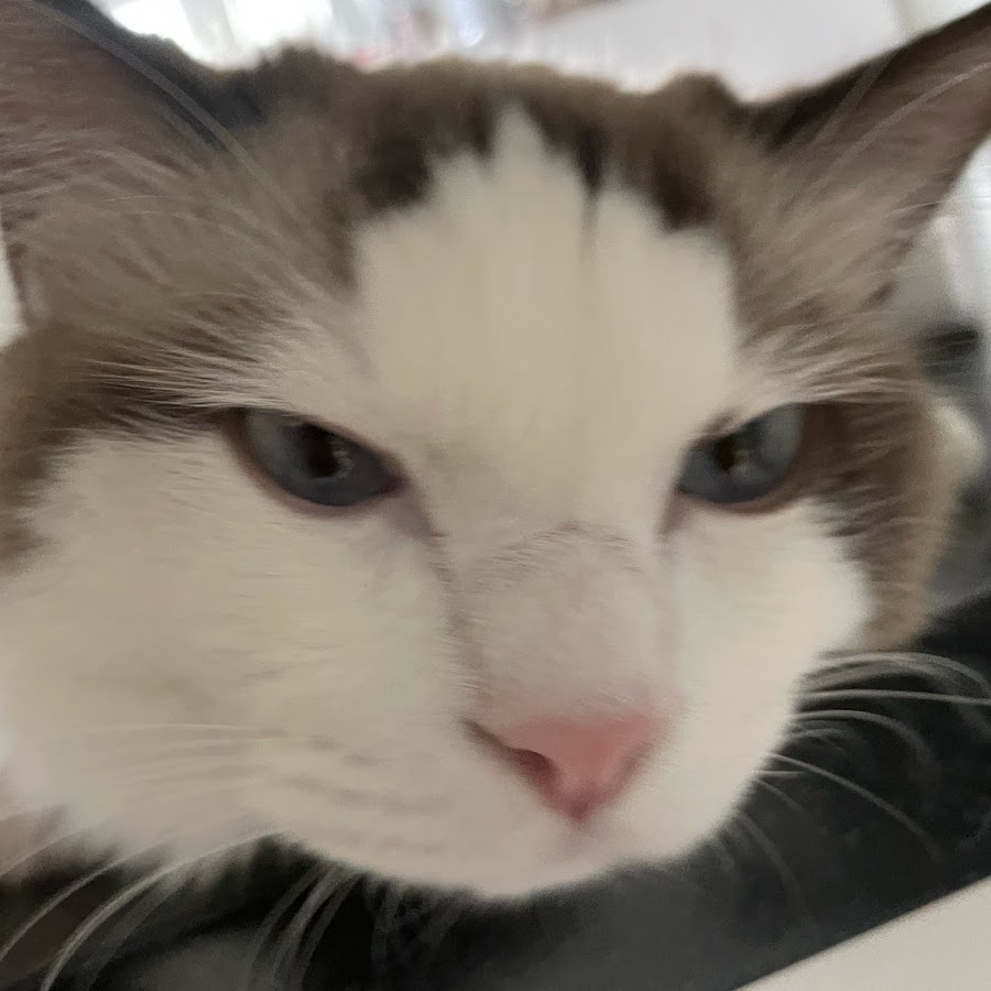 AMLnZu-sz4NjSyD18H9mBjtm09pkBNfpGqNjfBZDeZto0g=s900-c-k-c0x00ffffff-no-rj