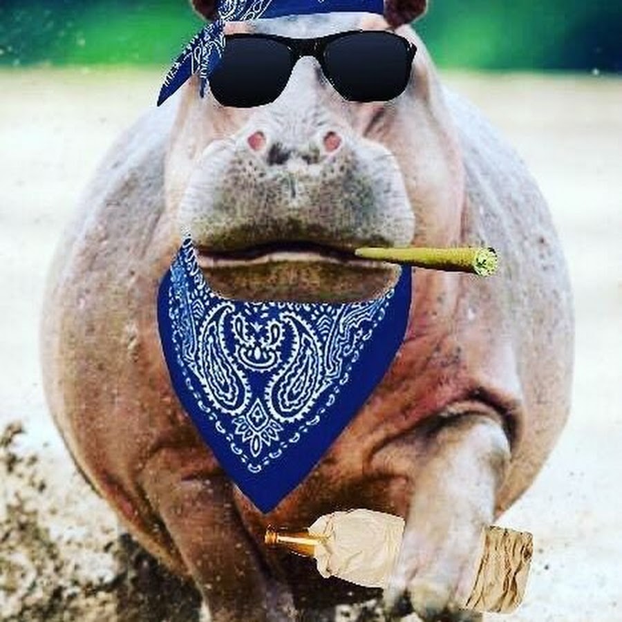 AMLnZu-u4njoHXTS3OfRRl1ToXULn-SSUzZkMf2a3bZueQ=s900-c-k-c0x00ffffff-no-rj