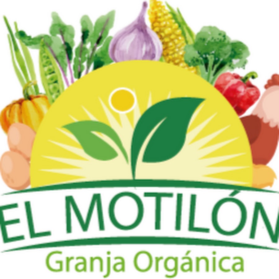 AMLnZu-uHDWqwVf8Hopt5qyd6924R9OM_aYikH8Imz9l=s900-c-k-c0x00ffffff-no-rj